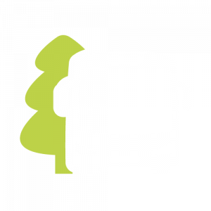 home - ACTIA ACTiVi Solution